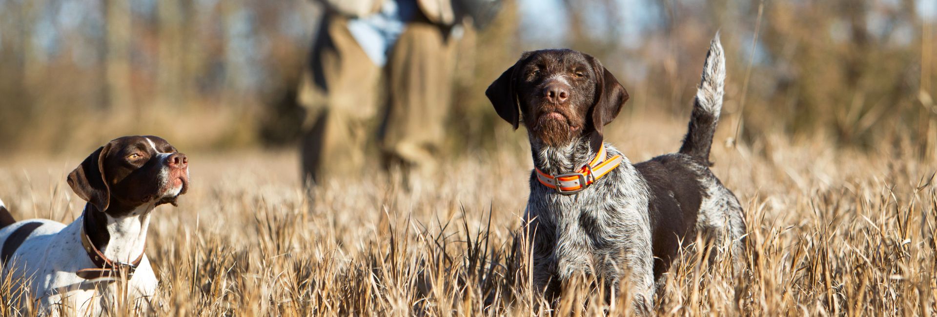 Vêtements de Chasse Personnalisés | Collection Unique pour Chasseurs ...