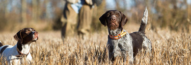 Vêtements de Chasse Personnalisés | Collection Unique pour Chasseurs ...